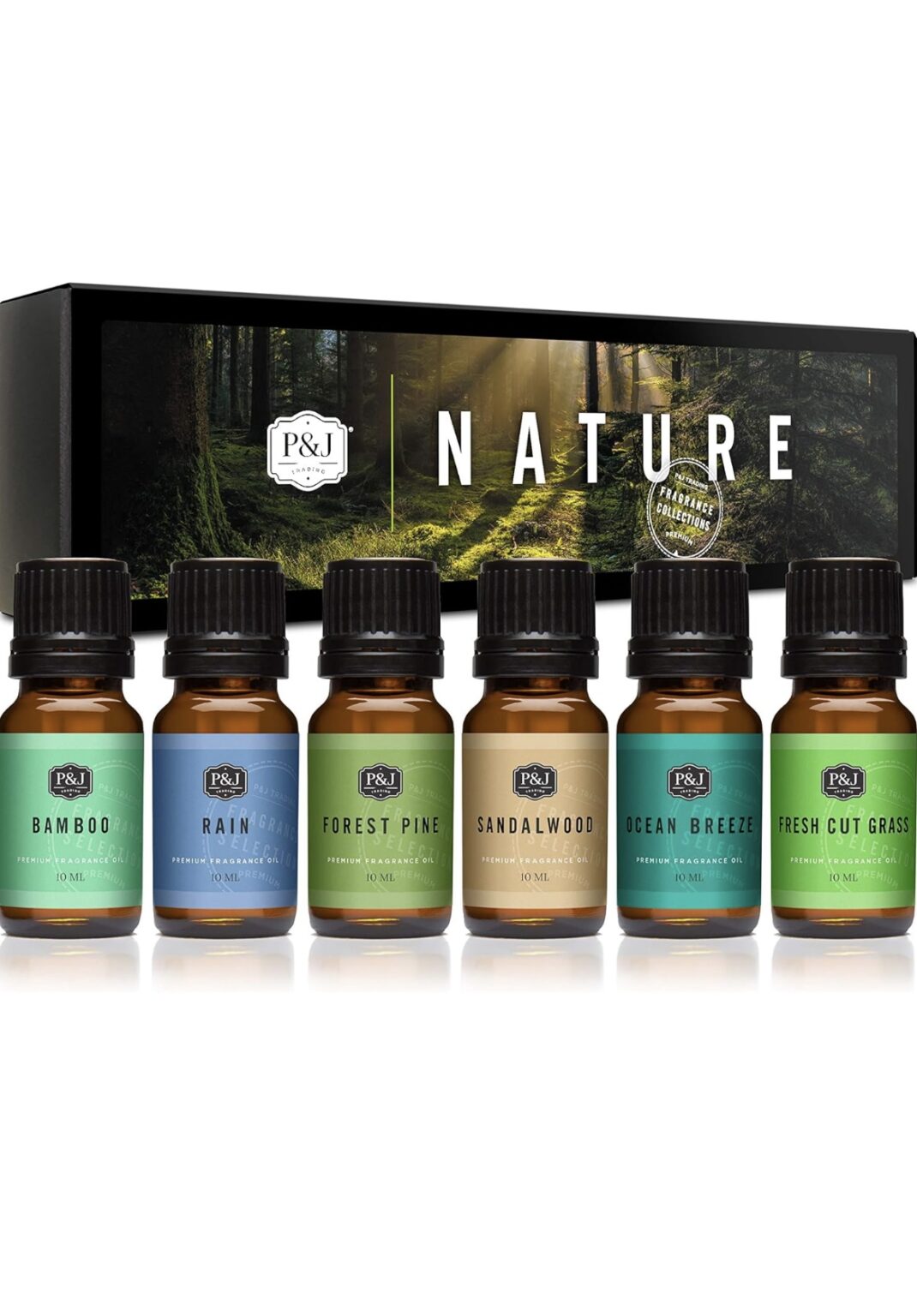 DIY Large Clam Shell Candle-Easy Coastal Christmas Idea