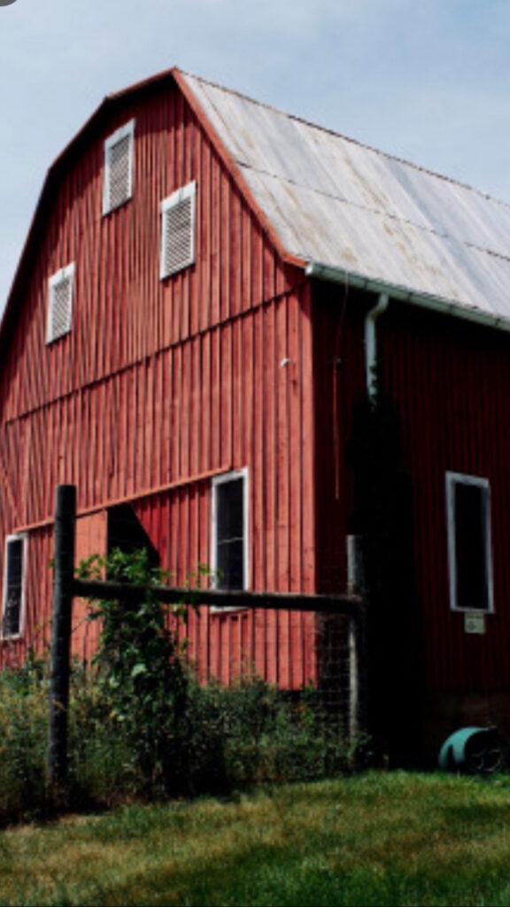 Coastal Cottagecore Inspo-Aunt Lil's Beach House - City Farmhouse by ...